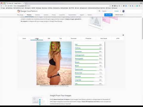 Bilderkennung über Google Cloud Vision API