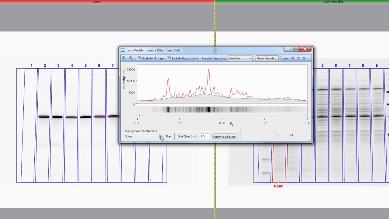 Total Protein Normalization - Basic Tutorial
