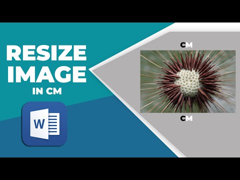 How to resize image in word in cm