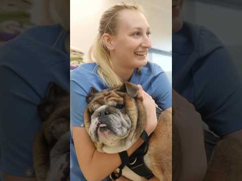 #BTS at a #veterinaryclinic #veterinarian #vettech #veterinaryassistant