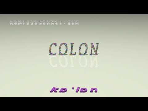 colon - pronunciation + Examples in sentences and phrases