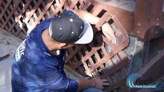 3 Best Pest Control Companies in Irvine, CA - Expert Recommendations