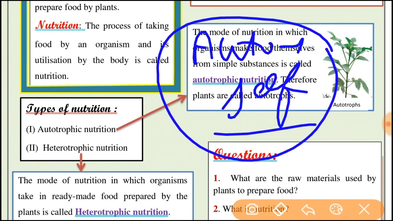 worksheet 1 science class 7 (7/4/21) english medium/ science worksheet 1 class7/class7 science