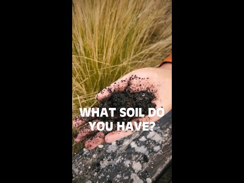 How to find out what soil you have in your garden