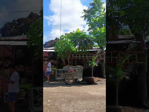 Dili gyud ka palingkuron Kol 😁😂😂#jenardmixtv #funny #funnyvideo