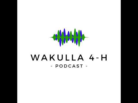 Episode 8 - Brandon Barber, owner of food truck The Ark