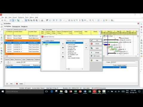 How to Update Actual Cost using Level of Effort LOE as Activity Type by: AP