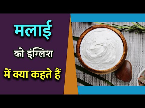 Malai Ko English Mein kya Kahate Hai | मलाई को इंग्लिश में क्या कहते हैं | Improve Daily Tips