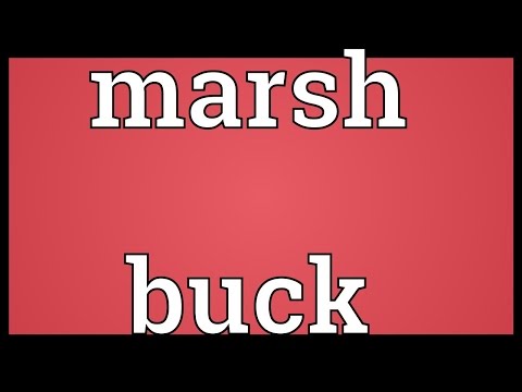 Marsh buck Meaning