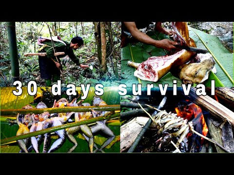 Full video: 30 days of survival alone in the forest - survival challenge