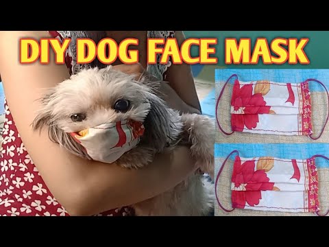 DIY DOG FACE MASK