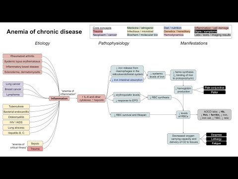 Anemia of chronic disease (mechanism of disease)