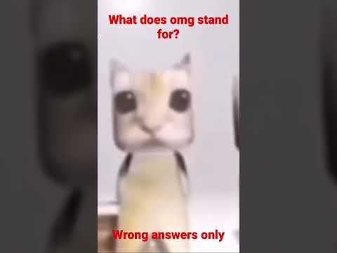 What does OMG stand for wrong answers only #roadto100subs
