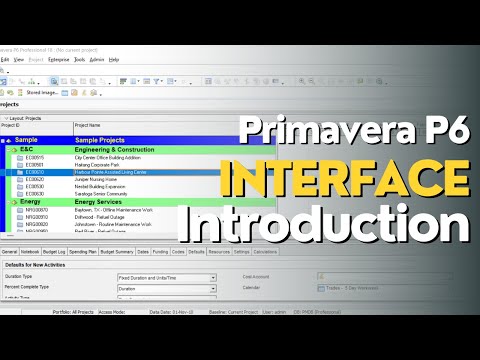 Introduction to Interface | Oracle Primavera P6