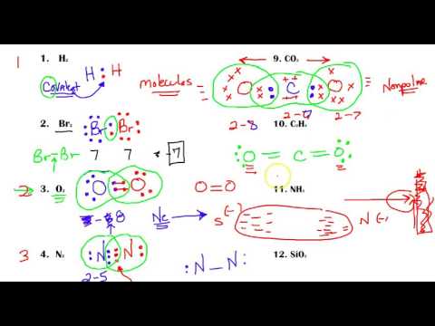 AP Biology - Polar and Non-polar molecules