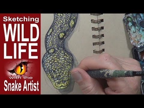 Drawing a Wild Diamond Python