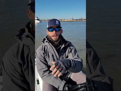 Bite Me Short: Making the most of the day post-full moon with a high barometric pressure. (Part One)