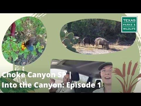 Choke Canyon SP | Into the Canyon: Episode 1
