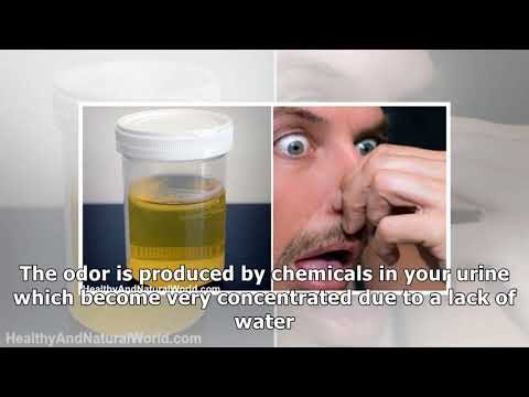 Ammonia Smell in Urine: Causes and What to Do About It
