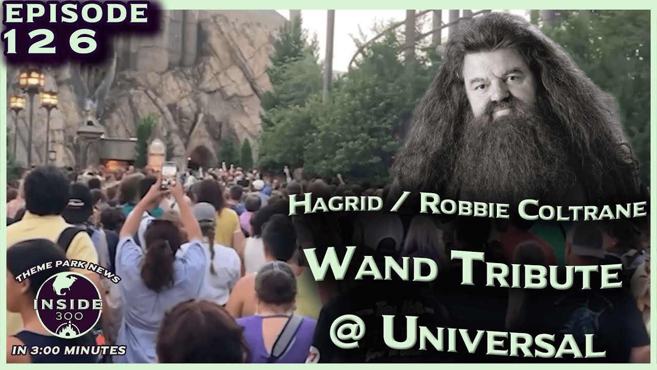 MyDisneyFix | Wands Raised at Universal for Hagrid Actor Robbie ...