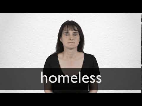 HOMELESS definition and meaning | Collins English Dictionary