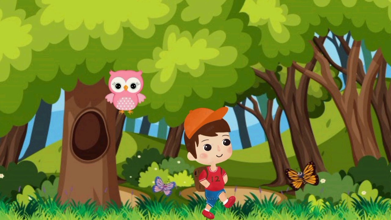 A story about children's rights