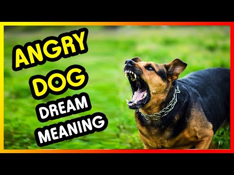 Angry Dog Dream Meaning and Dream Interpretation