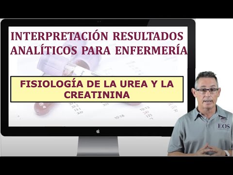 15. INTERPRETACIÓN RESULTADOS ANALÍTICOS. FISIOLOGÍA DE LA UREA Y CREATININA