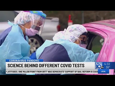 PCR or rapid test: what's the difference and which is right for you?