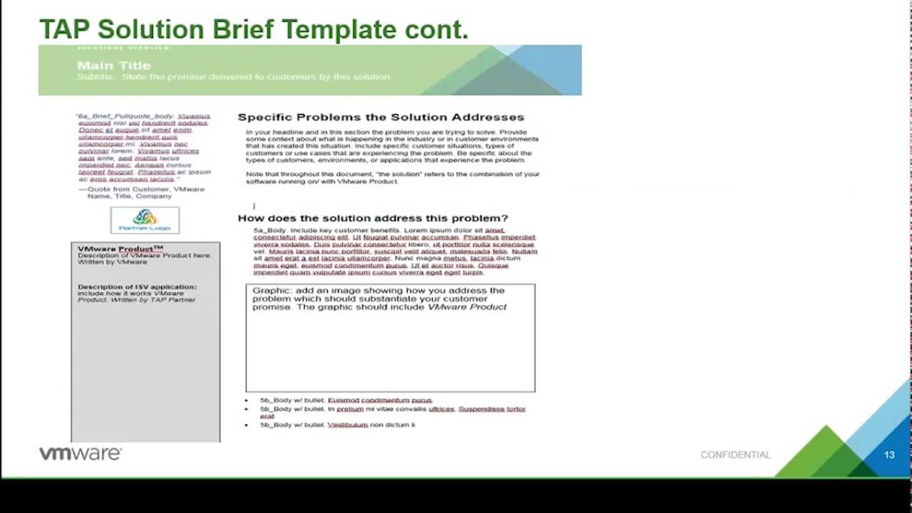 VMware TAP Solution Briefs
