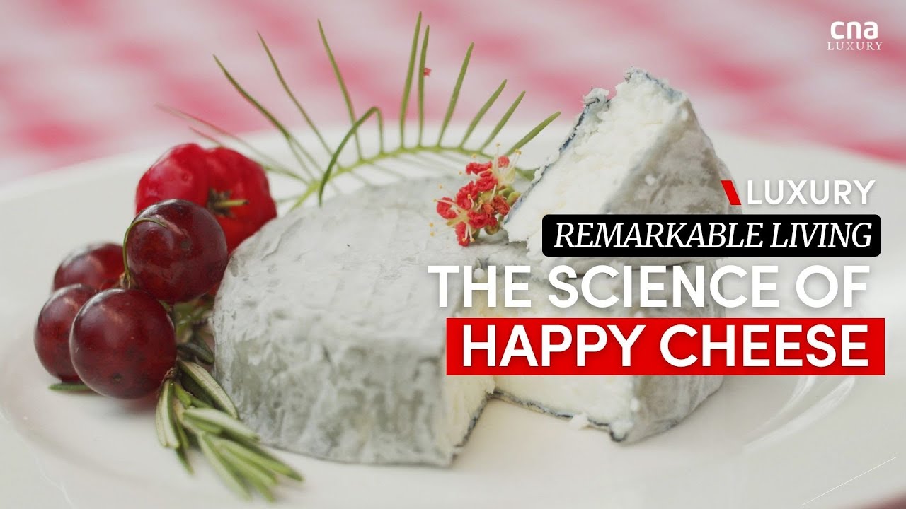 Meet Thailands First Female Cheesemaker Producing Artisanal Goats ...