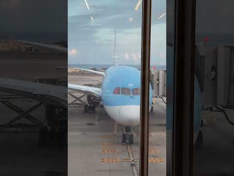 Las Palmas airport Departures
