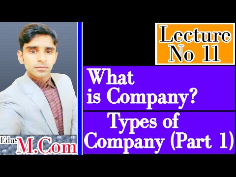 What is Company in Urdu/Hindi? | Types of Company in Urdu/Hindi/ | Commerce Lecture No 11 Part 1