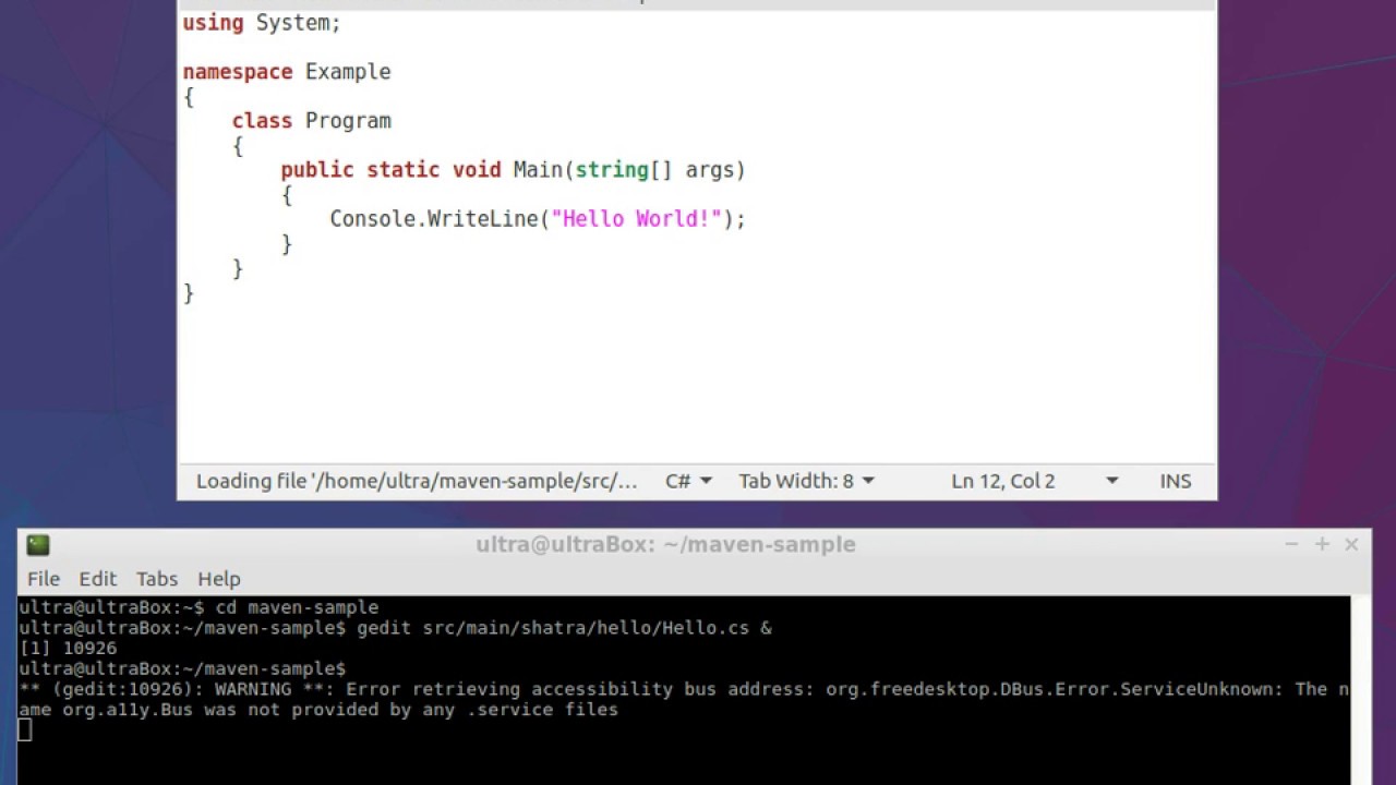 C# Hello World to Java conversion