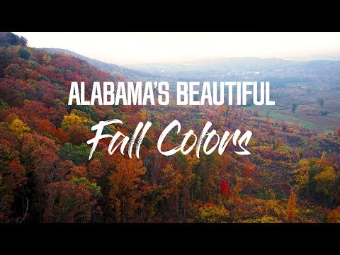 Take This Road Trip To See The Best Fall Foliage In Alabama