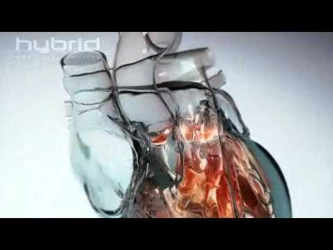 Transparent Heart