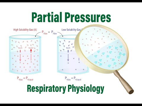 Understanding Partial Pressures in Respiratory Physiology
