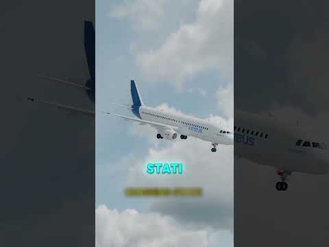 Il Sedicenne Che Ha Pilotato un Aereo (Credits:@TheOutliners.)