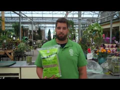Eco Lawn™ Grass Seed - Sheridan Nurseries Video