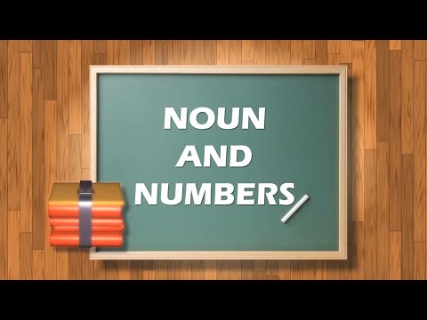 Noun and numbers_4
