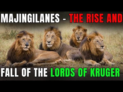 Majingilane - The Rise and Fall of the Lords of Kruger"