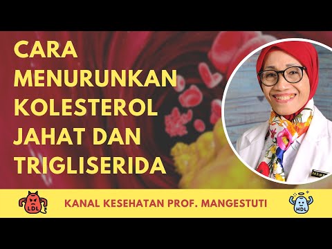 Cara Menurunkan Kolesterol Jahat dan Trigliserida - Bagian 1