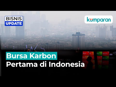 Sah Diresmikan Jokowi, Bursa Karbon Punya Potensi Lebih dari Rp 3.000 Triliun | kumparan.com