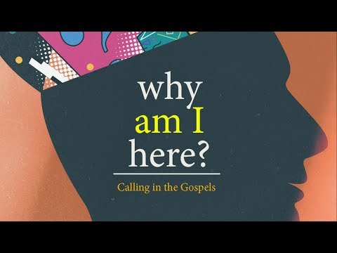 Why am I here - Commission in John
