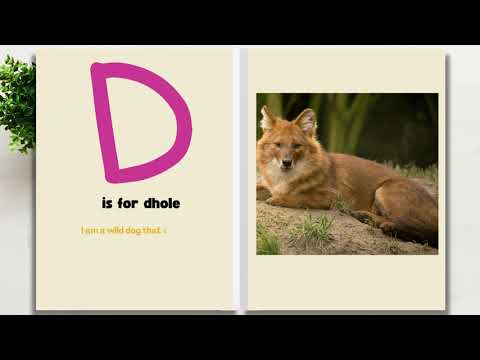 ABC Animal Rhymes | ABC Animals: How Many Can You Name? | Volume 4: Relaxing children stories