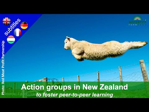 Action groups to foster peer to peer learning - Example of Red Meat Profit Partnership, New Zealand