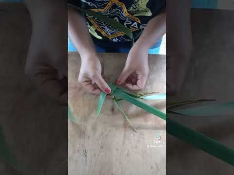 [HA'UNERA'A] Pyramide en nī'au 🌴