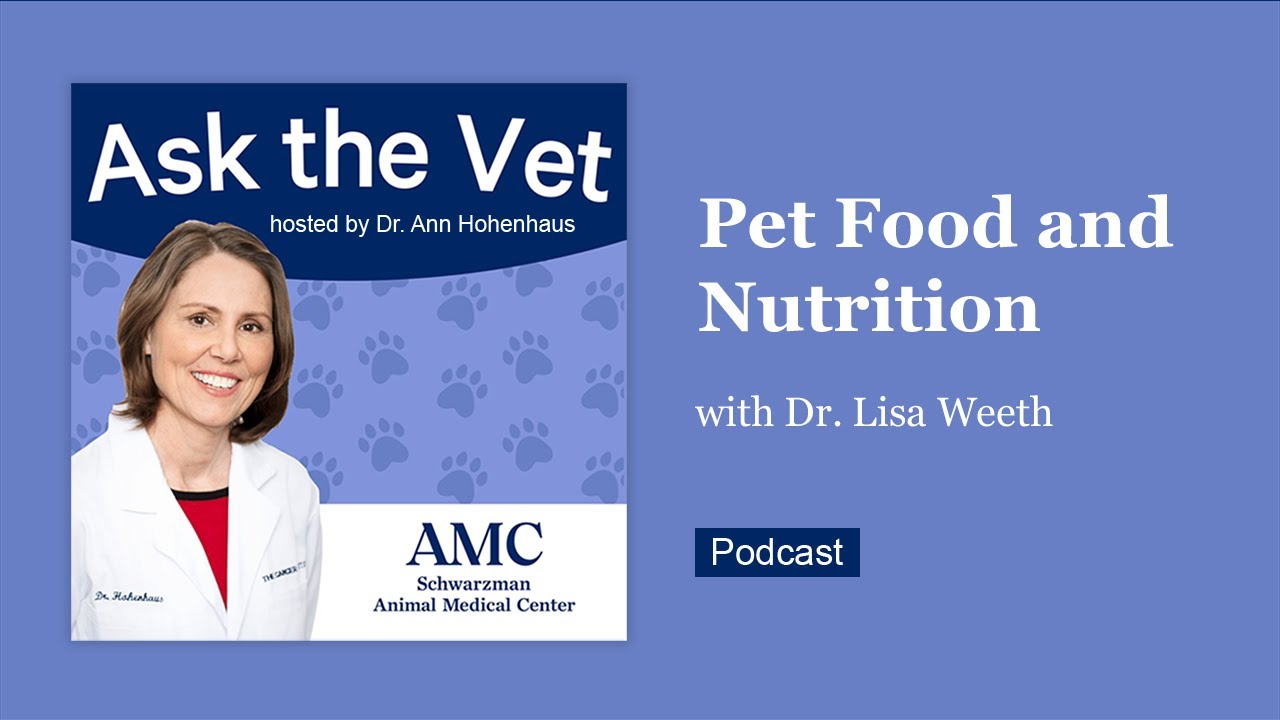 Ask the Vet: Pet Food and Nutrition with Dr. Lisa Weeth