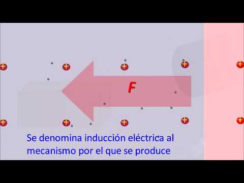 Fundamentos de electricidad y magnetismo: Carga-por-frotamiento
