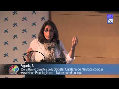 Neuropsicologia. Perfil de Funcions Executives en condicions extremes de menjar i pes